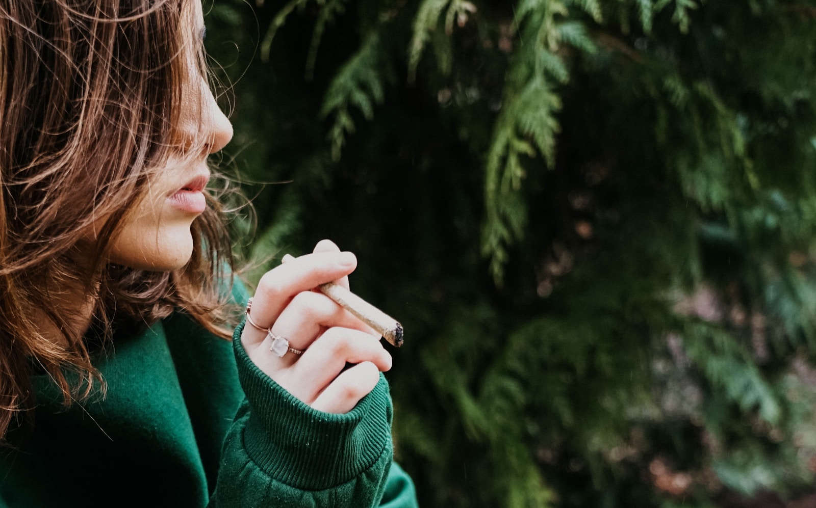 Pre-rolled vs hand-rolled joints: settling the great debate